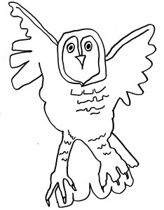 7 Observational Drawing Exercises – Artistcoveries