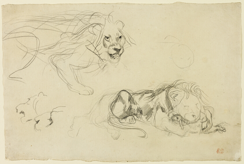 A Pride of Lions – Artistcoveries