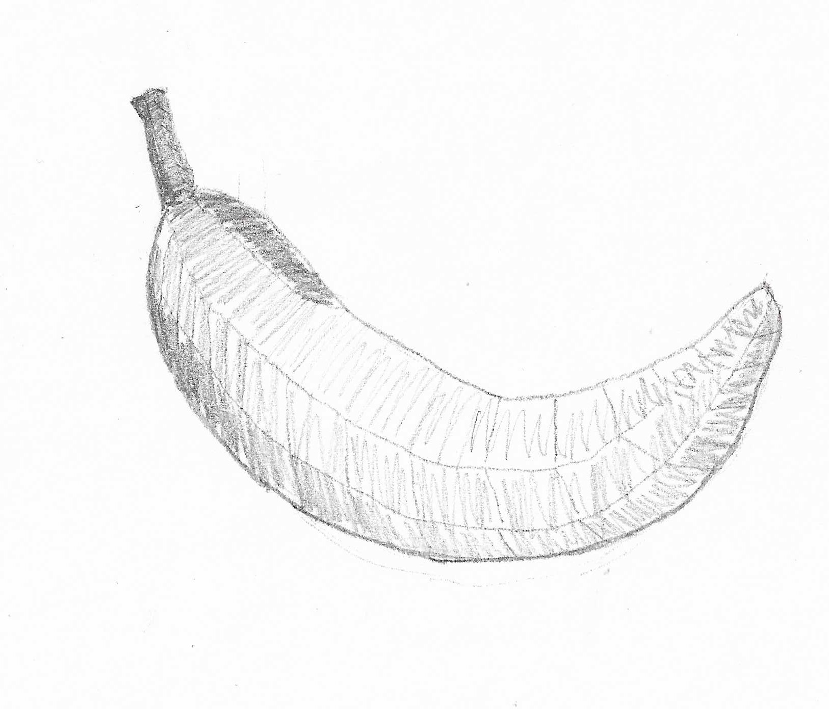 Cross Contour Lines Explained: Techniques for Realistic Drawings ...