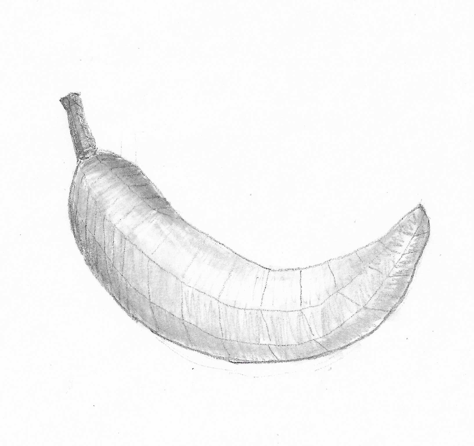 Cross Contour Lines Explained: Techniques for Realistic Drawings ...