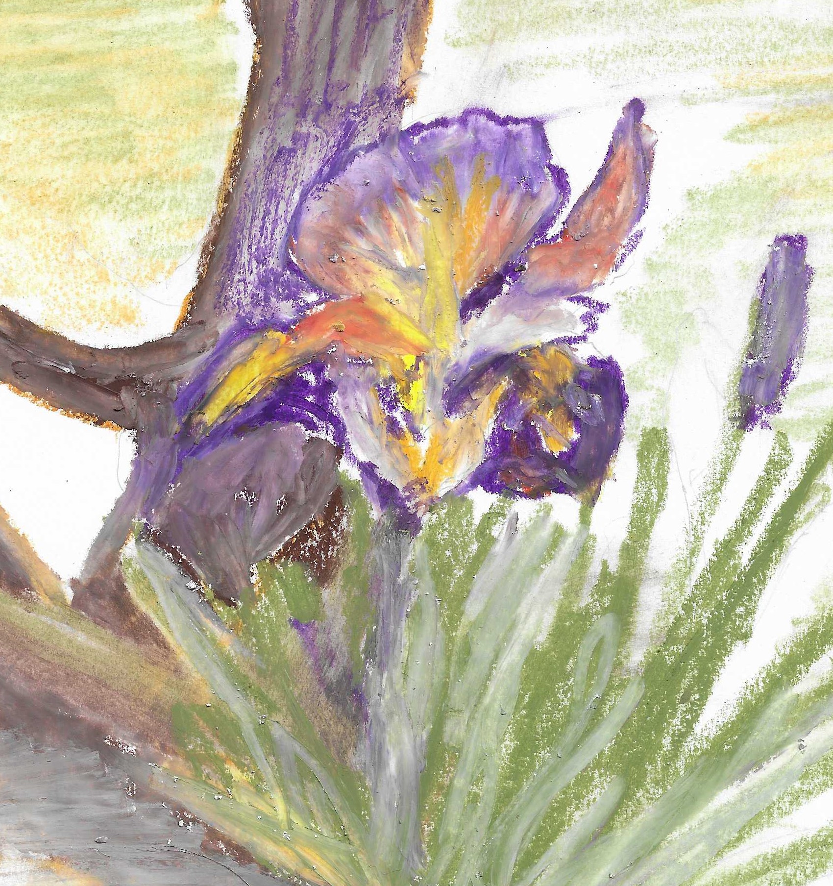 A Valiant Effort – Artistcoveries